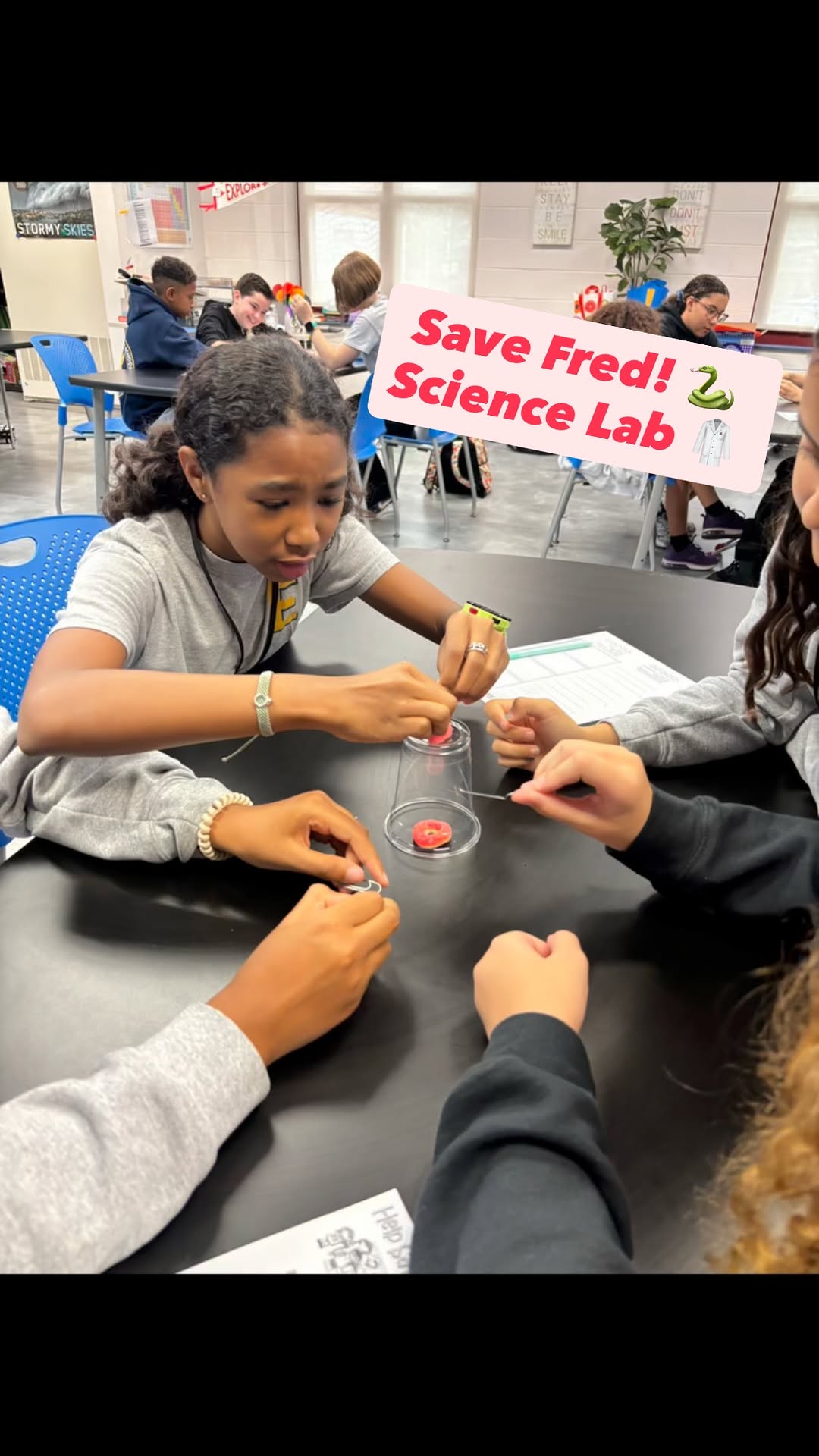 6th Grade Scientists Took On The Save Fred Challenge With Ms Pemberton ...